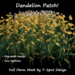 Second Life Marketplace - T-Spot Mesh - Dandelion Patch - FP - LI=0.5